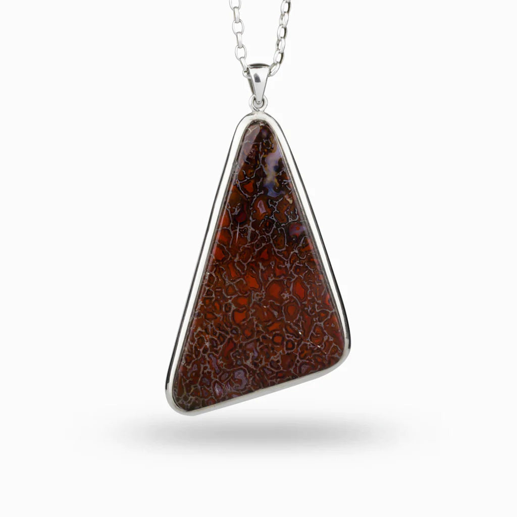 Gembone Fossil: Significance and Characteristics | Made in Earth AU