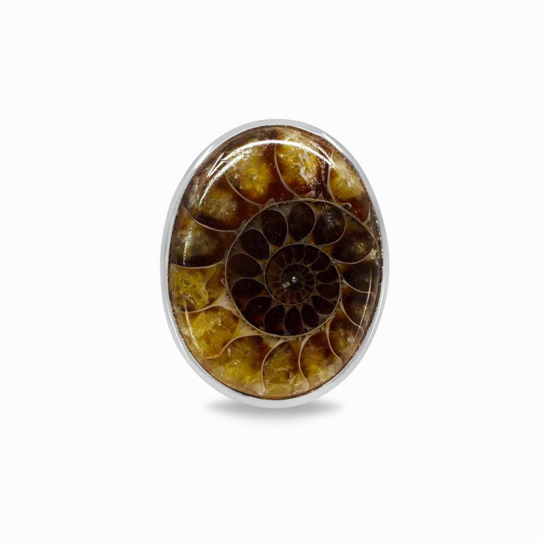 Ammonite Ring | Made In Earth Australia