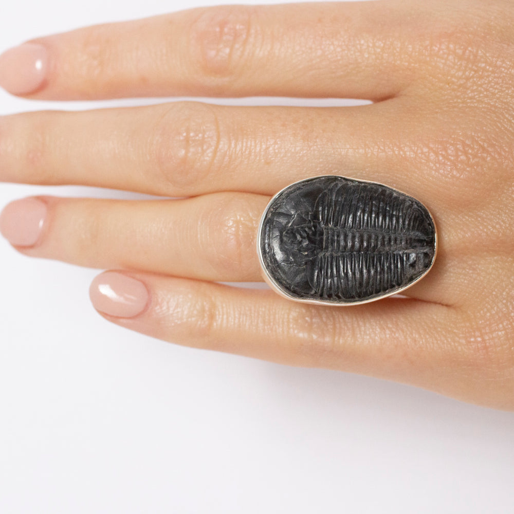 Trilobite Ring | Made In Earth Australia