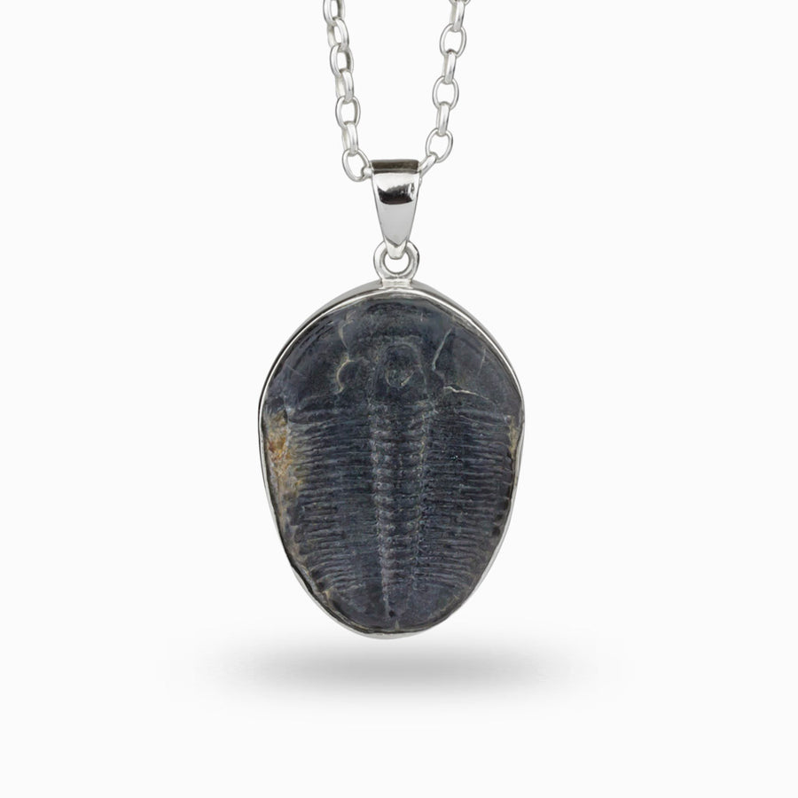 Trilobite Necklace | Made In Earth Australia